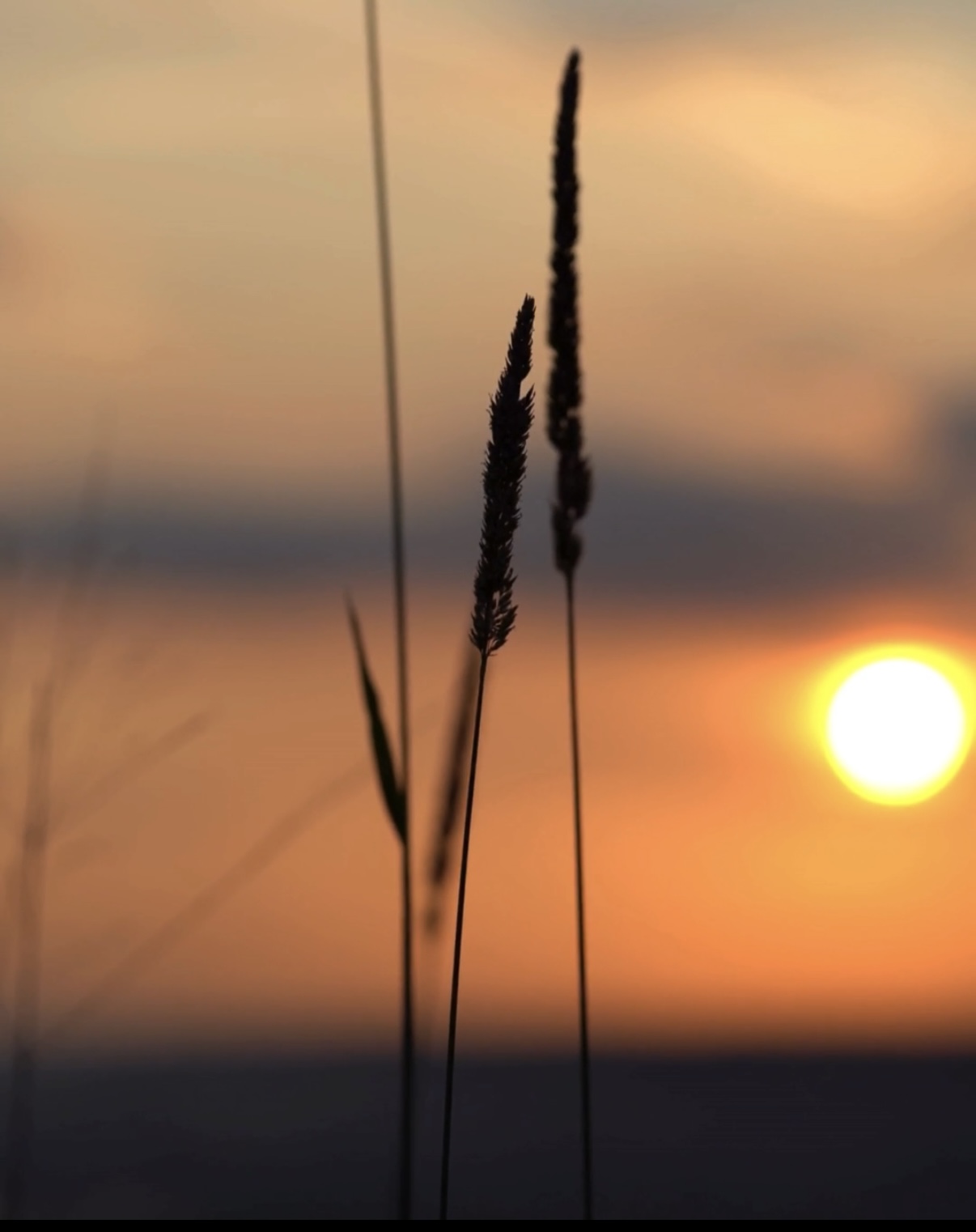 A Story from a woman of Mixed Indigenous Ancestry - MenoMedico